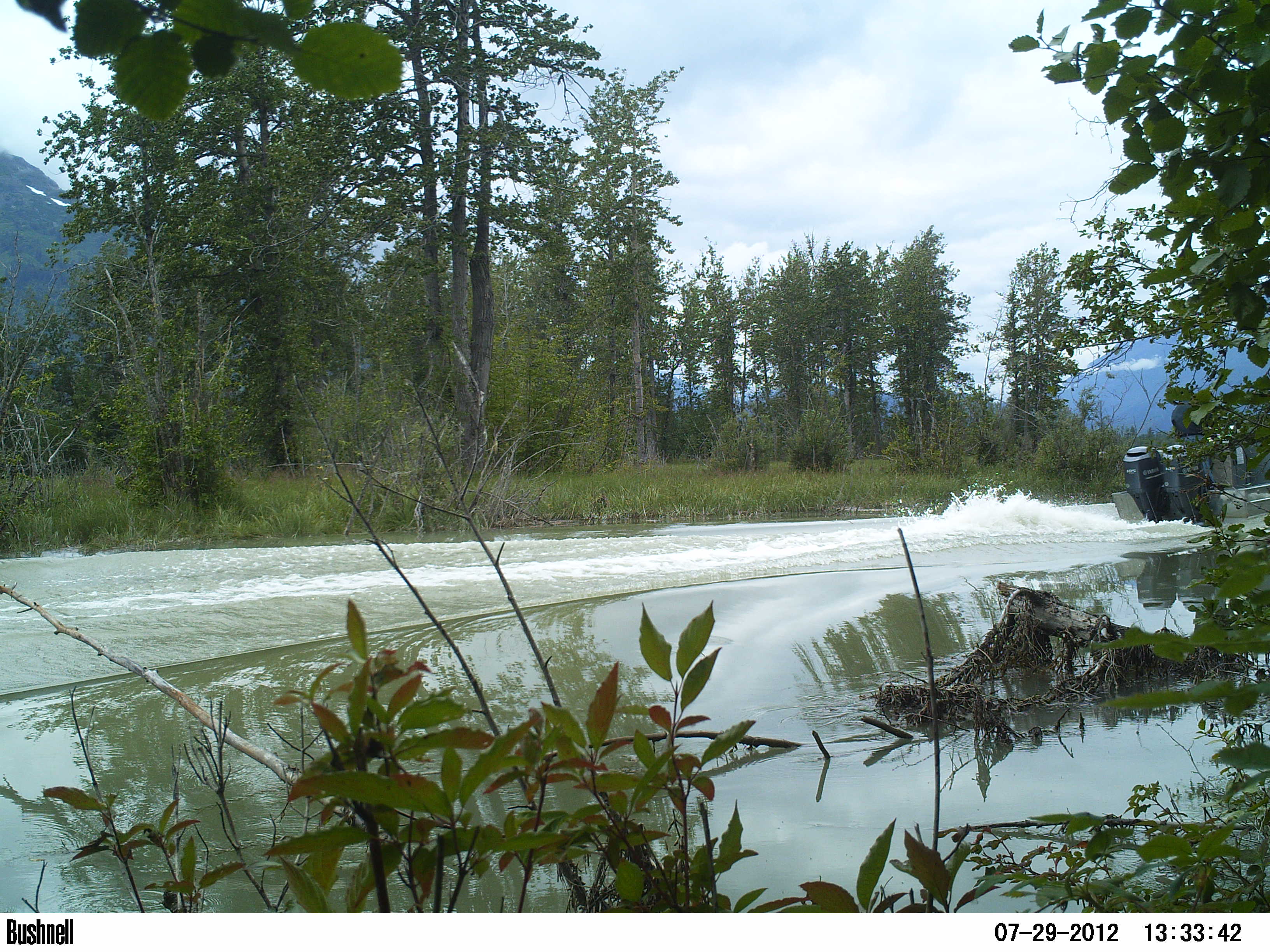 chilkat_bald_eagle_preserve_jetboat_wake_pict0077.jpg | Audubon Alaska