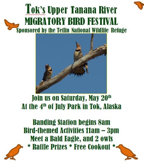 upper_tanana_bird_festival.jpg | Audubon Alaska